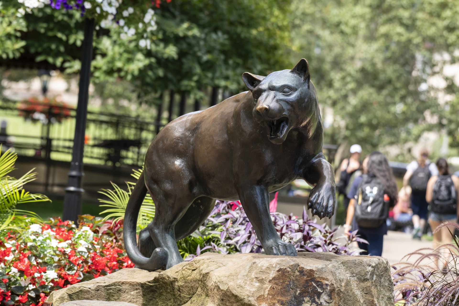 My Pitt Portal, Student ID and Personal Information