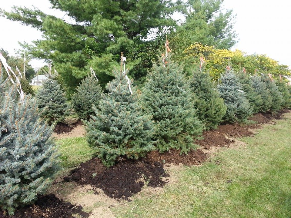 Greenhouse, Nursery & Garden Center | Shademakers Oxford OH