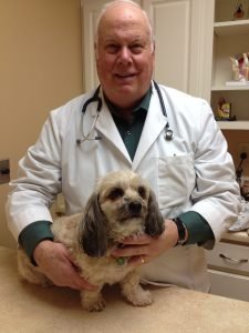 About Us – Valley Veterinary Clinic