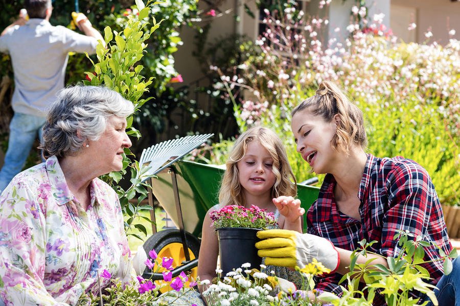 How memories live in a garden - Spotonpotsandnursery.com.au