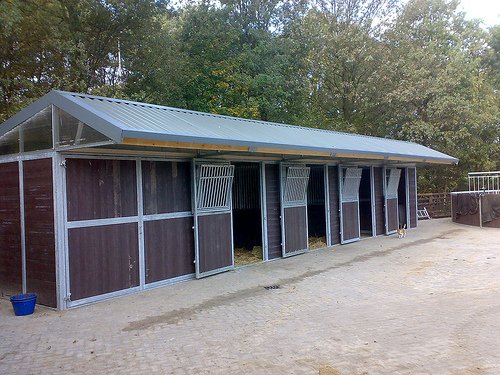 Loddon Equestrian Limited - Raveningham, Norwich, Norfolk - Gallery