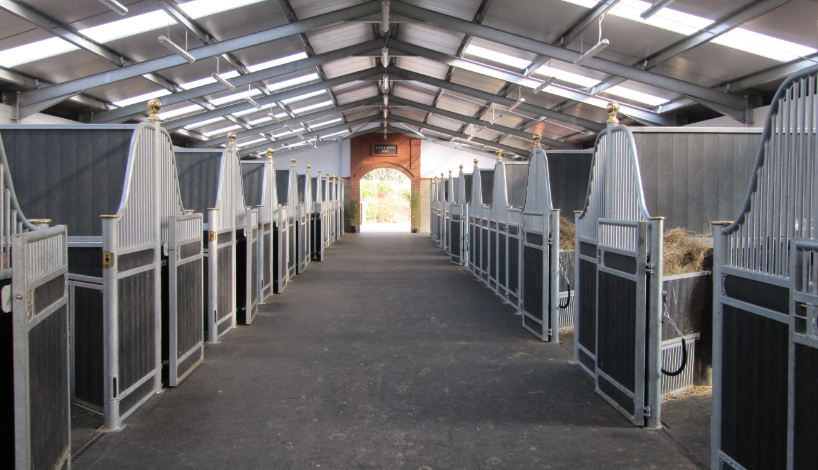 Loddon Equestrian Limited - Raveningham, Norwich, Norfolk - Gallery