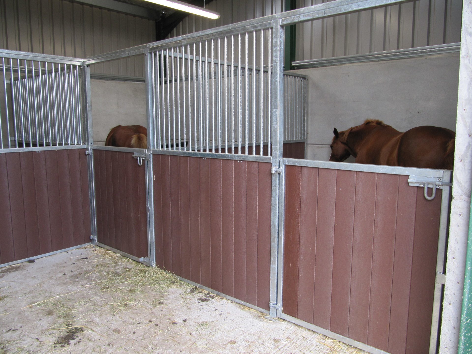 Loddon Equestrian Limited - Raveningham, Norwich, Norfolk - Gallery