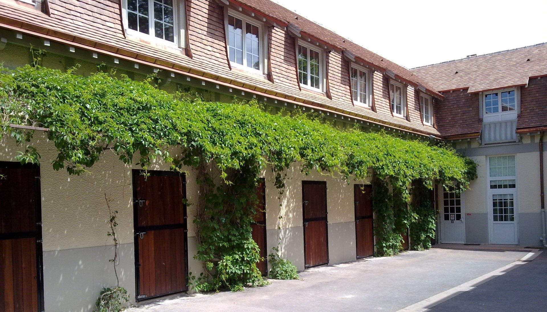 Loddon Equestrian Limited - Raveningham, Norwich, Norfolk - Gallery