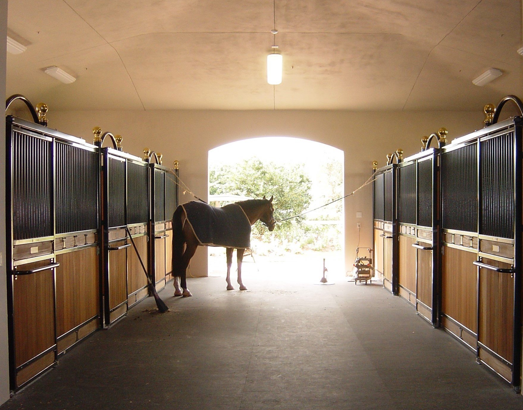 Loddon Equestrian Limited - Raveningham, Norwich, Norfolk - Gallery
