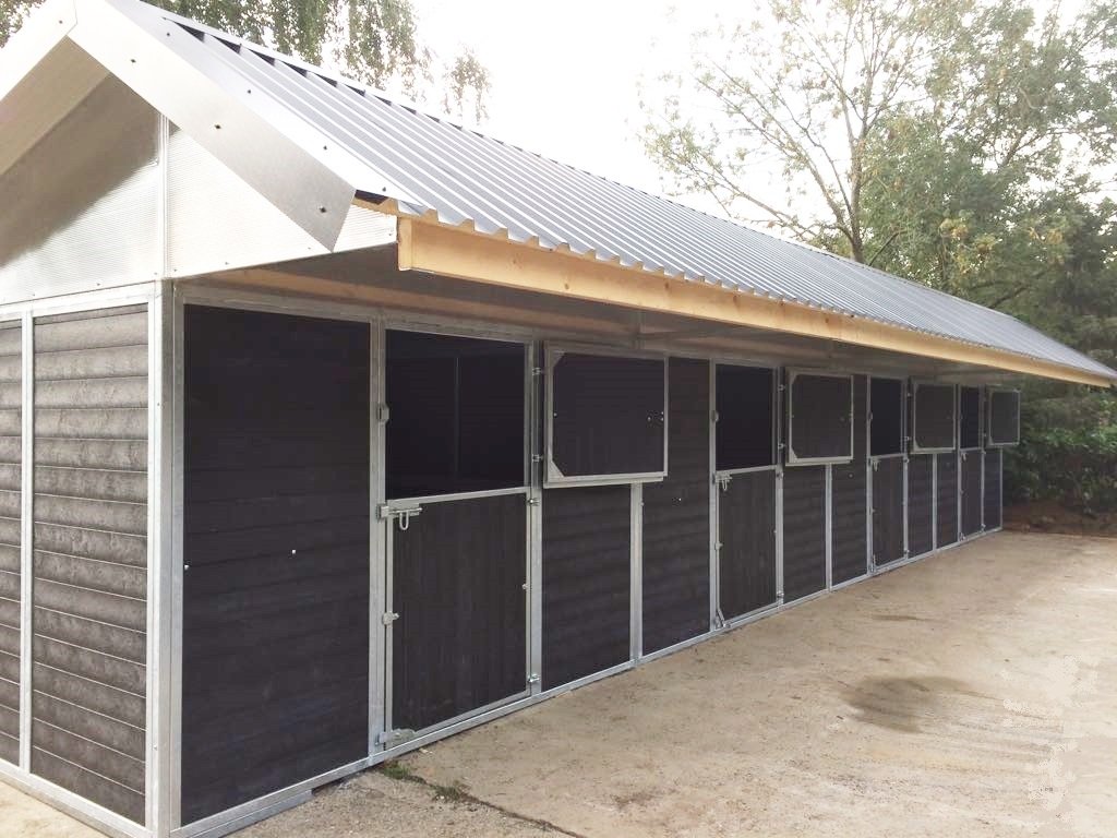 Loddon Equestrian Limited - Raveningham, Norwich, Norfolk - Gallery