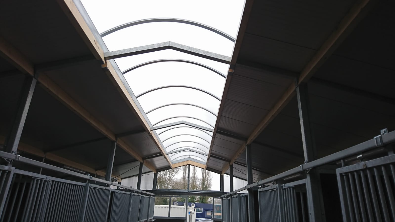 Loddon Equestrian Limited - Raveningham, Norwich, Norfolk - Gallery