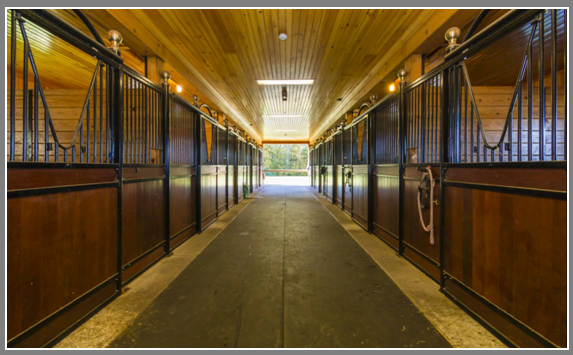 Loddon Equestrian Limited - Raveningham, Norwich, Norfolk - Gallery