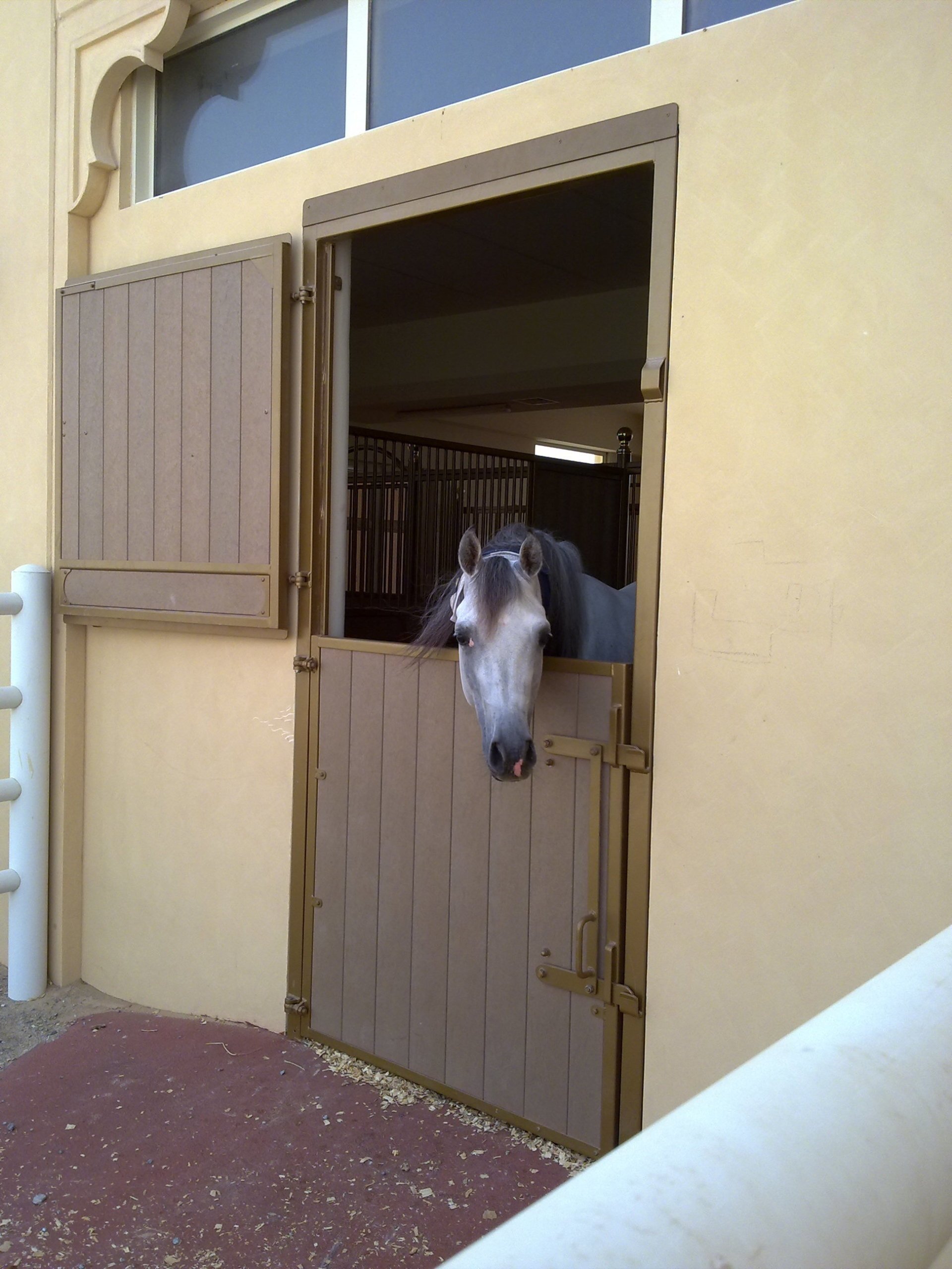 Loddon Equestrian Limited - Raveningham, Norwich, Norfolk - Gallery