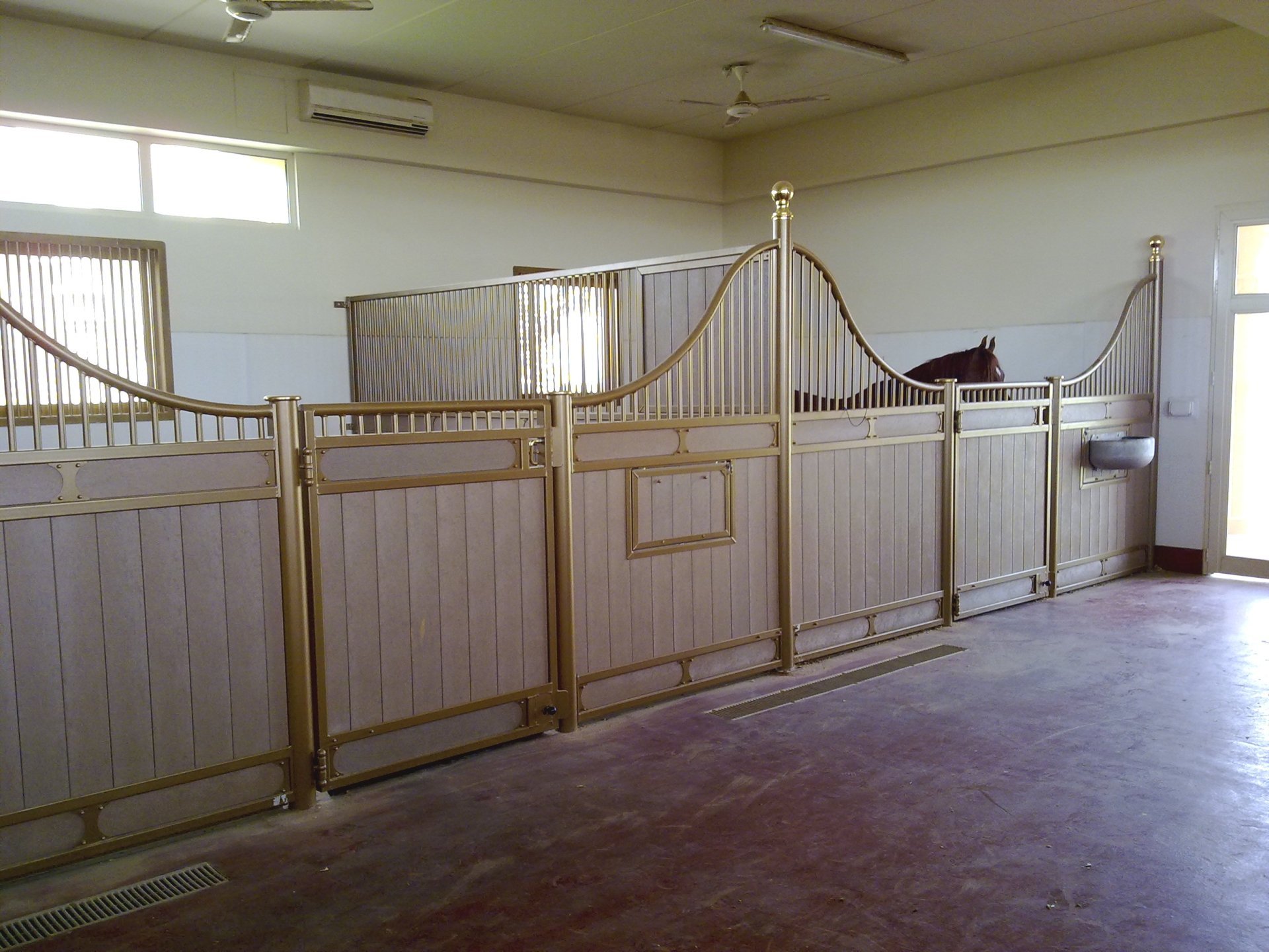 Loddon Equestrian Limited - Raveningham, Norwich, Norfolk - Gallery