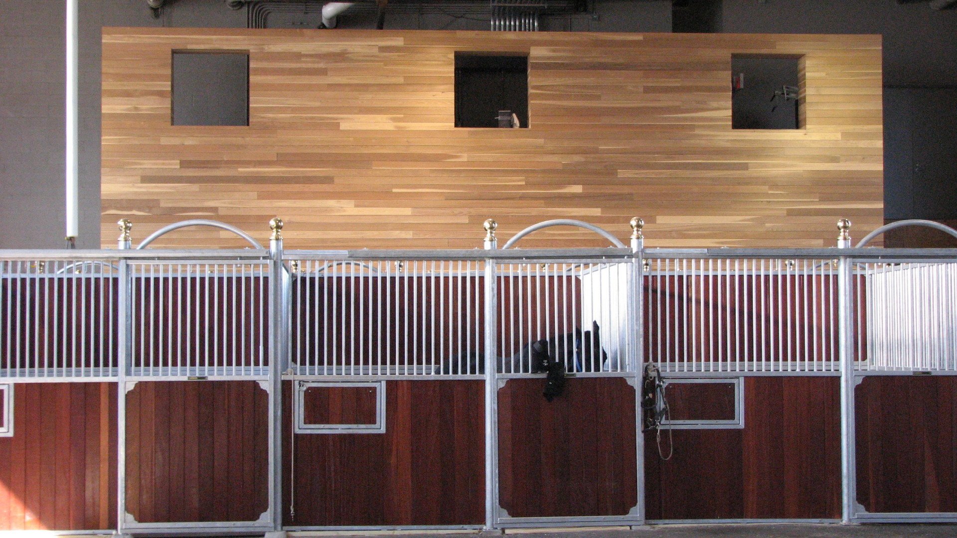 Loddon Equestrian Limited - Raveningham, Norwich, Norfolk - Gallery