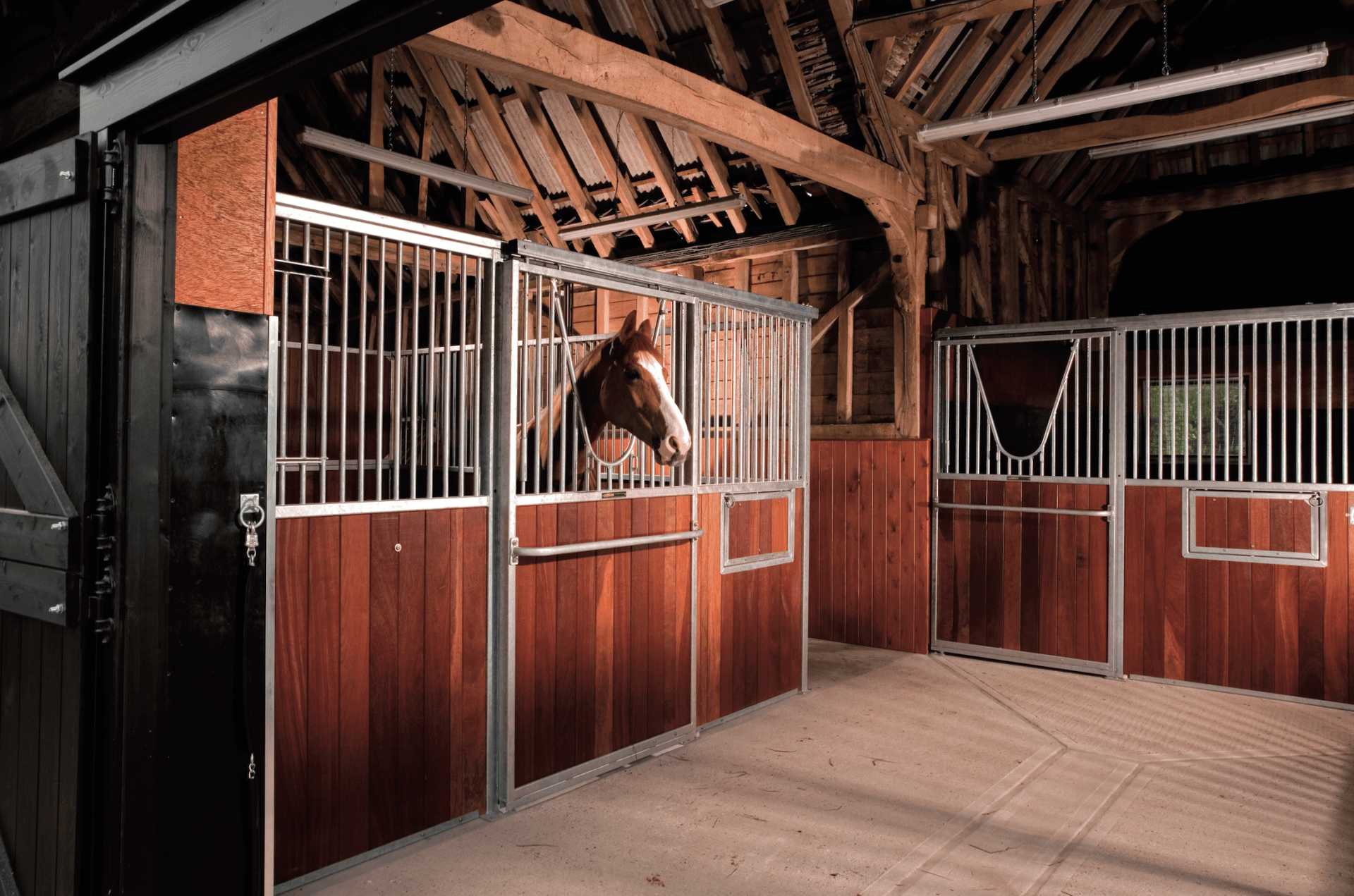 Loddon Equestrian Limited - Raveningham, Norwich, Norfolk - Gallery