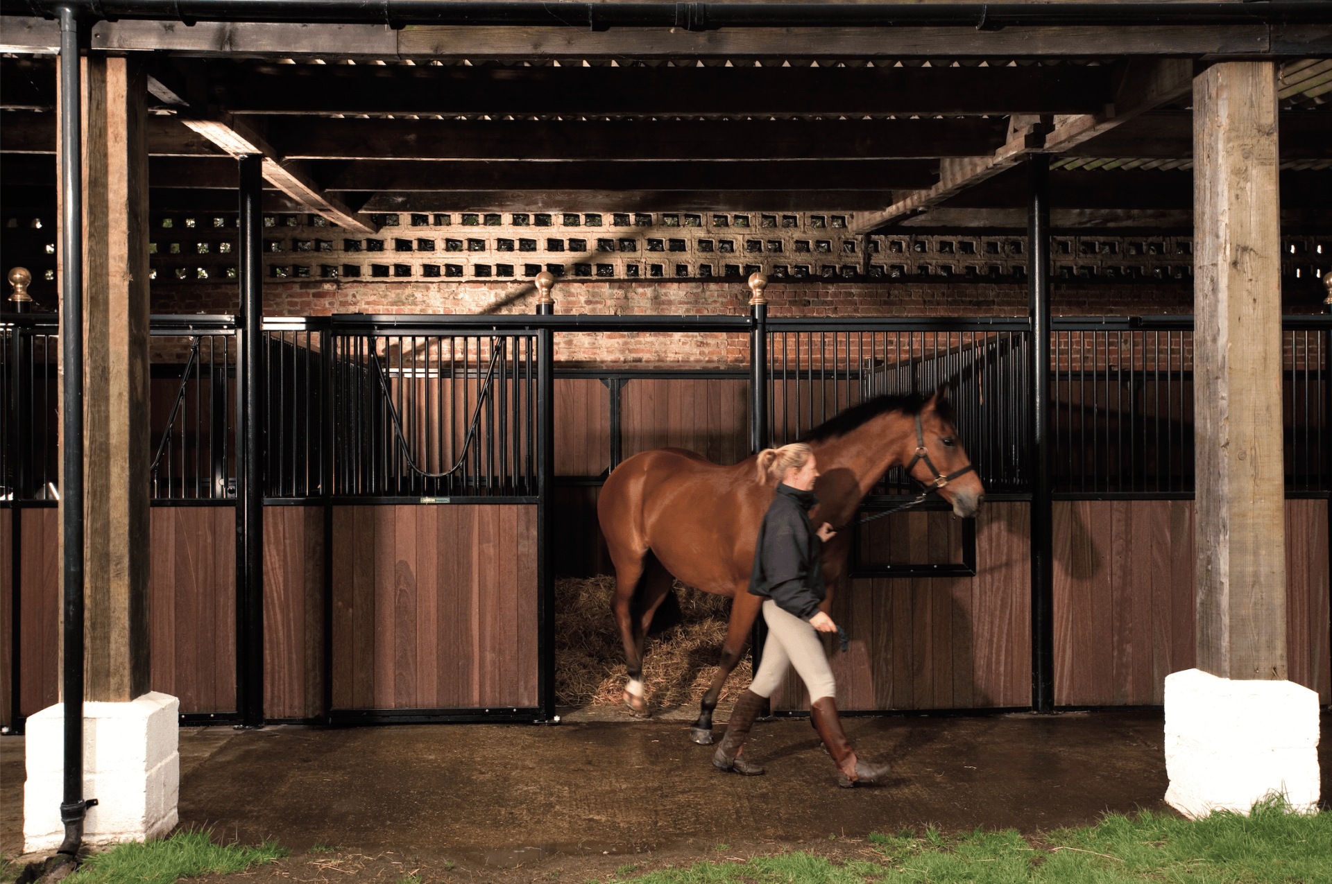 Loddon Equestrian Limited - Raveningham, Norwich, Norfolk - Gallery