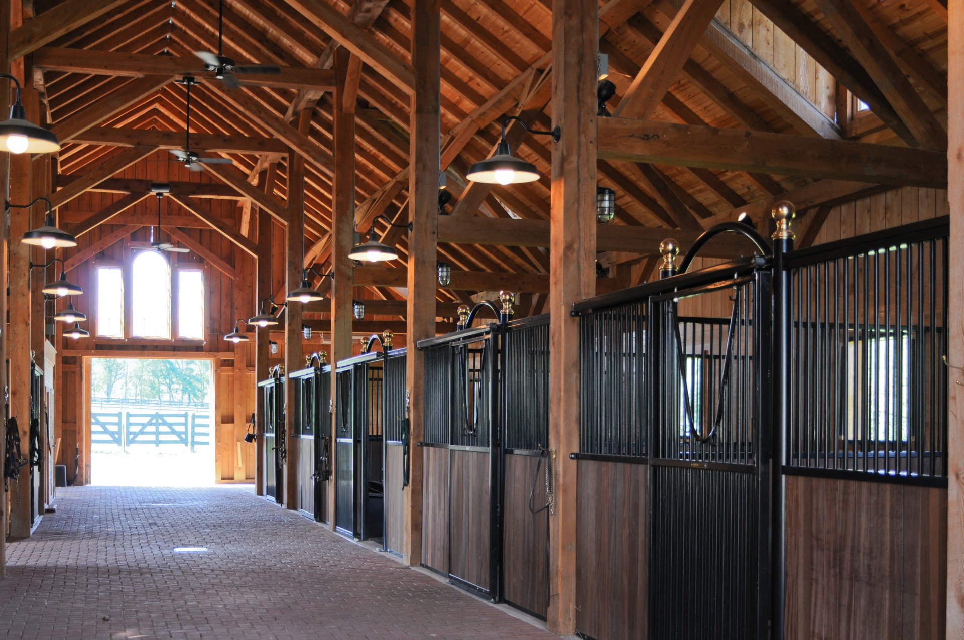 Loddon Equestrian Limited - Raveningham, Norwich, Norfolk - Gallery
