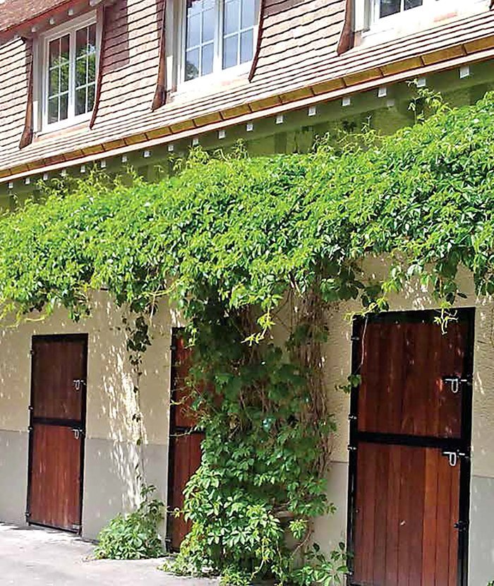 Loddon Equestrian Limited - Ilketshall St Lawrence, Suffolk - Home