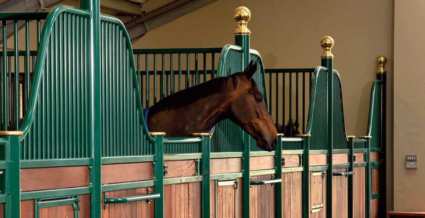 Loddon Equestrian Limited - Ilketshall St Lawrence, Suffolk - Home