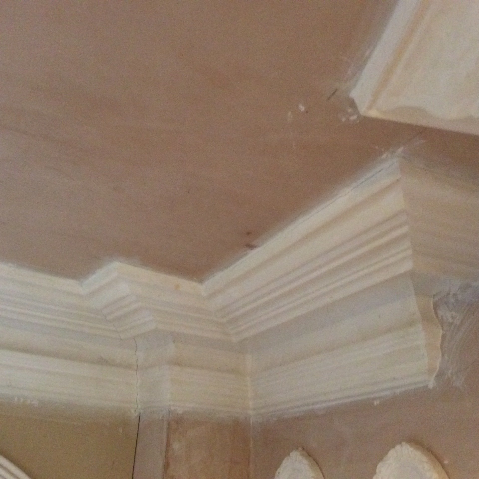 Plain coving professionals in Plymouth