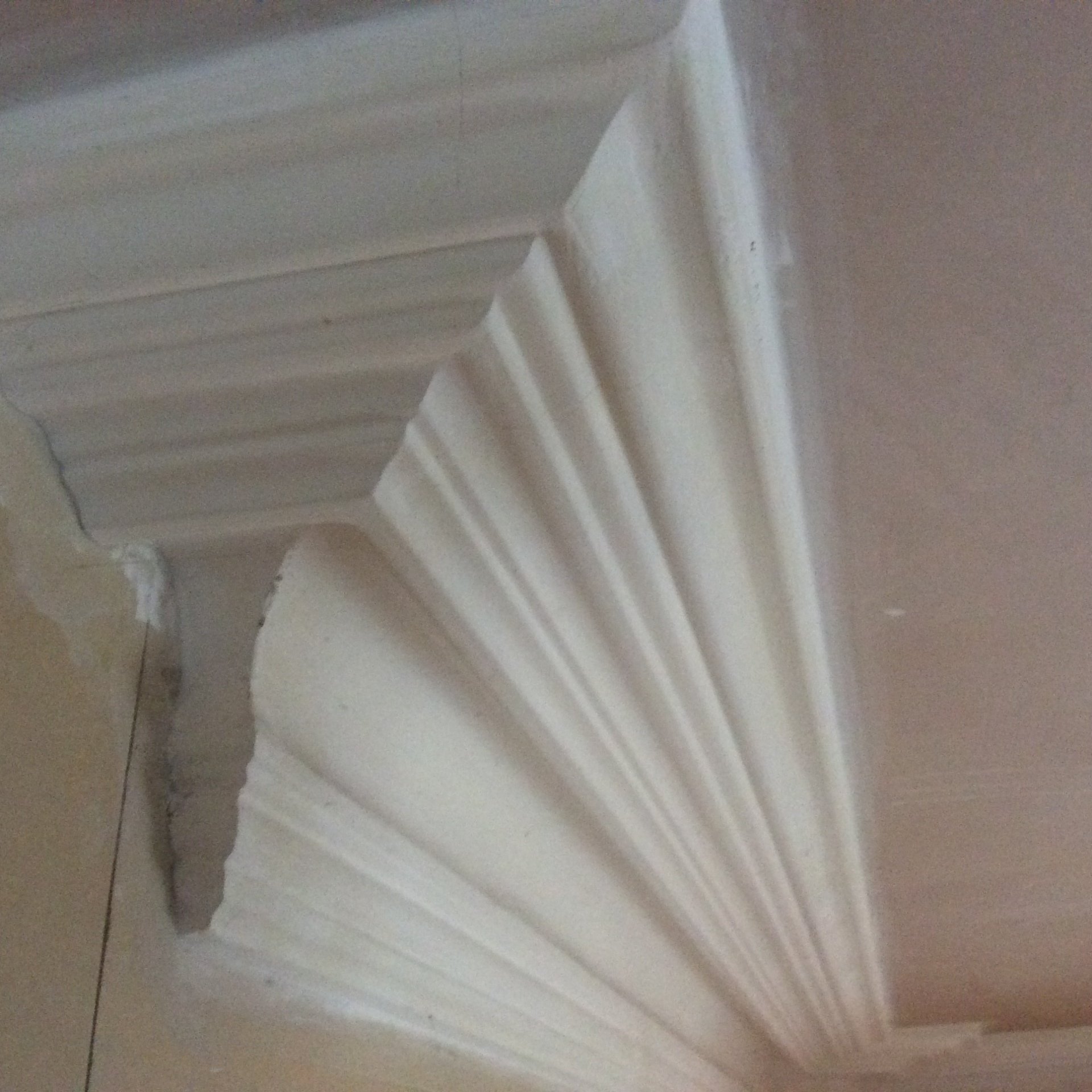 Plain coving professionals in Plymouth