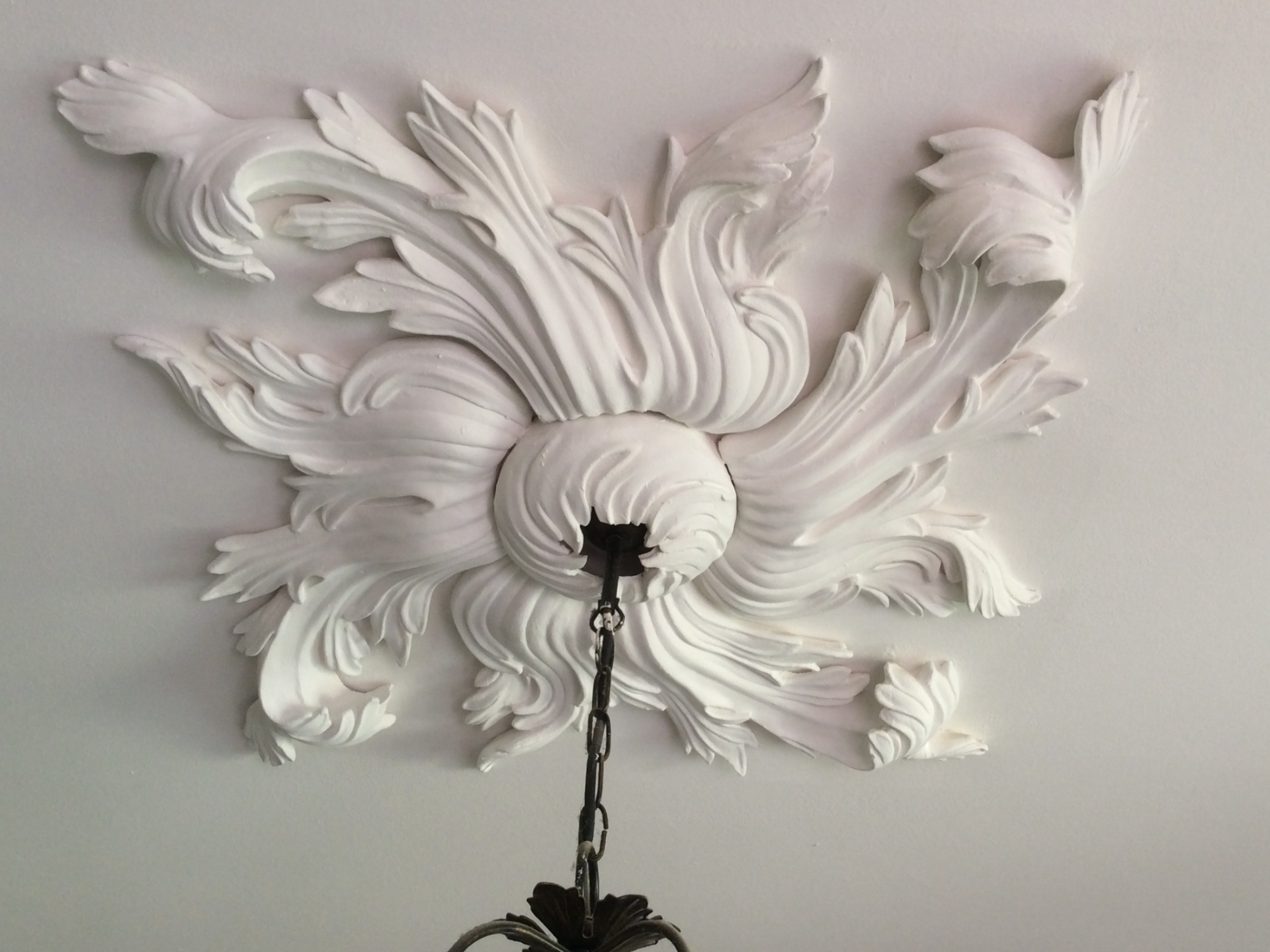 Intricately designed ceiling roses in Plymouth