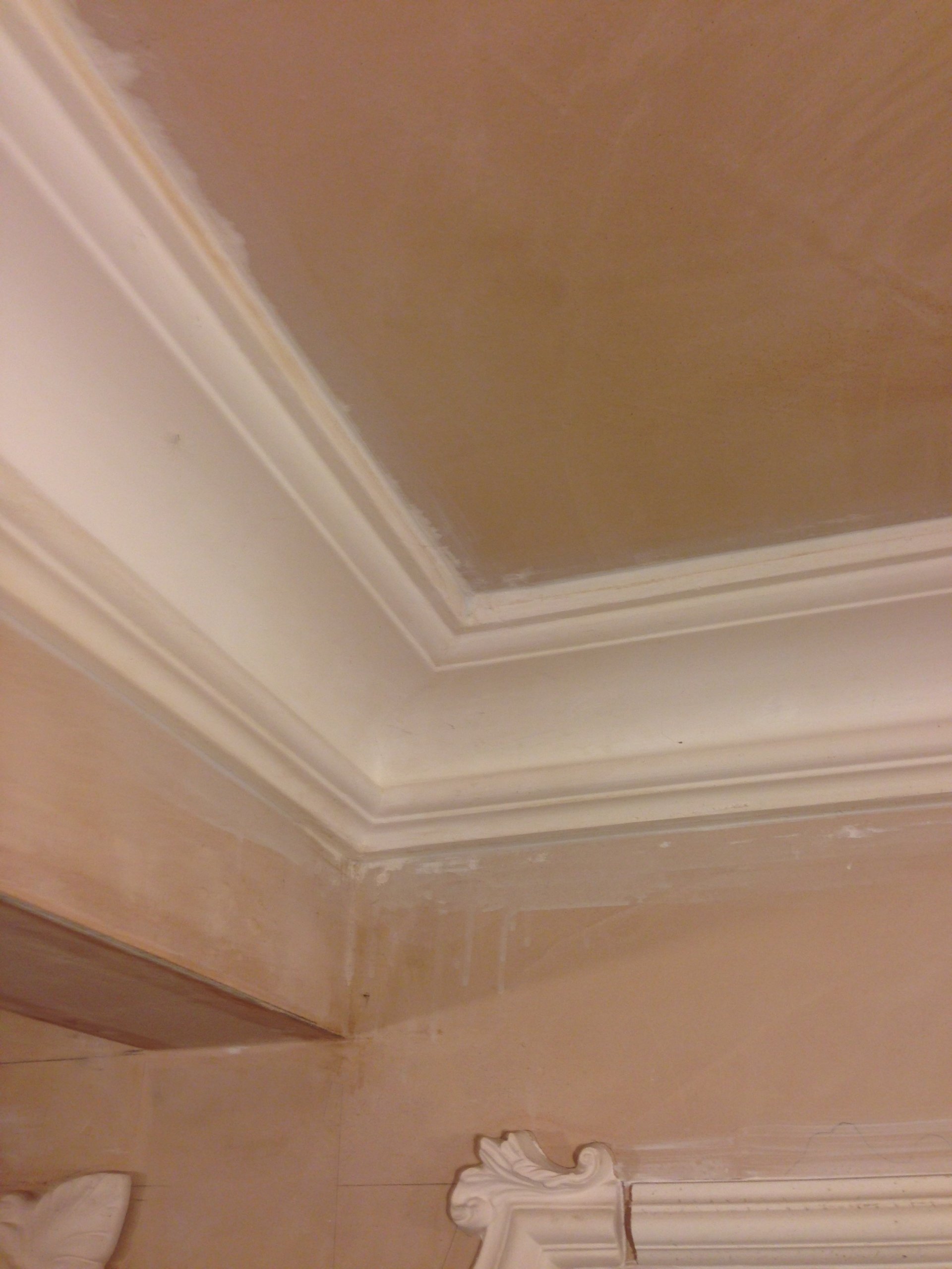 Plain coving professionals in Plymouth
