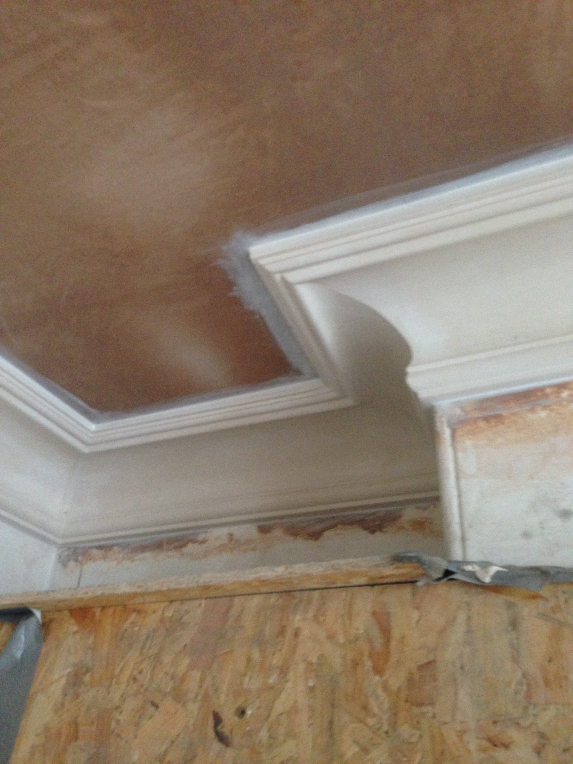 Plain coving professionals in Plymouth