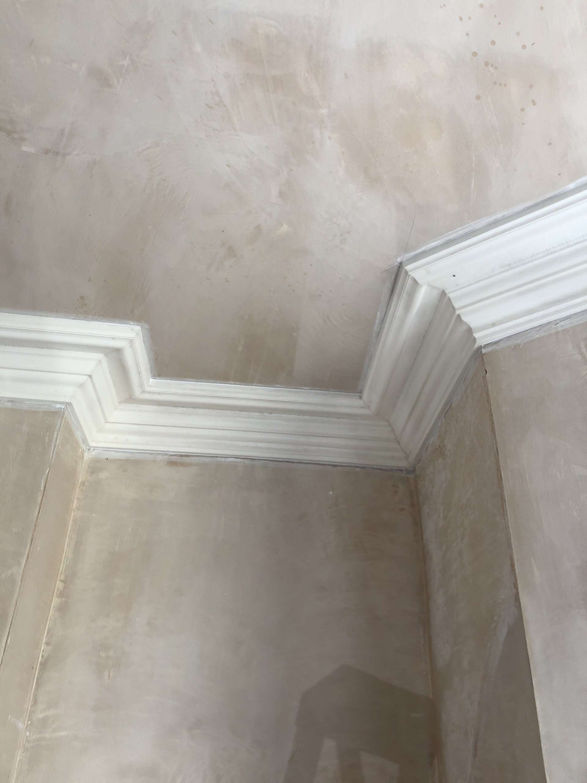 Plain coving professionals in Plymouth