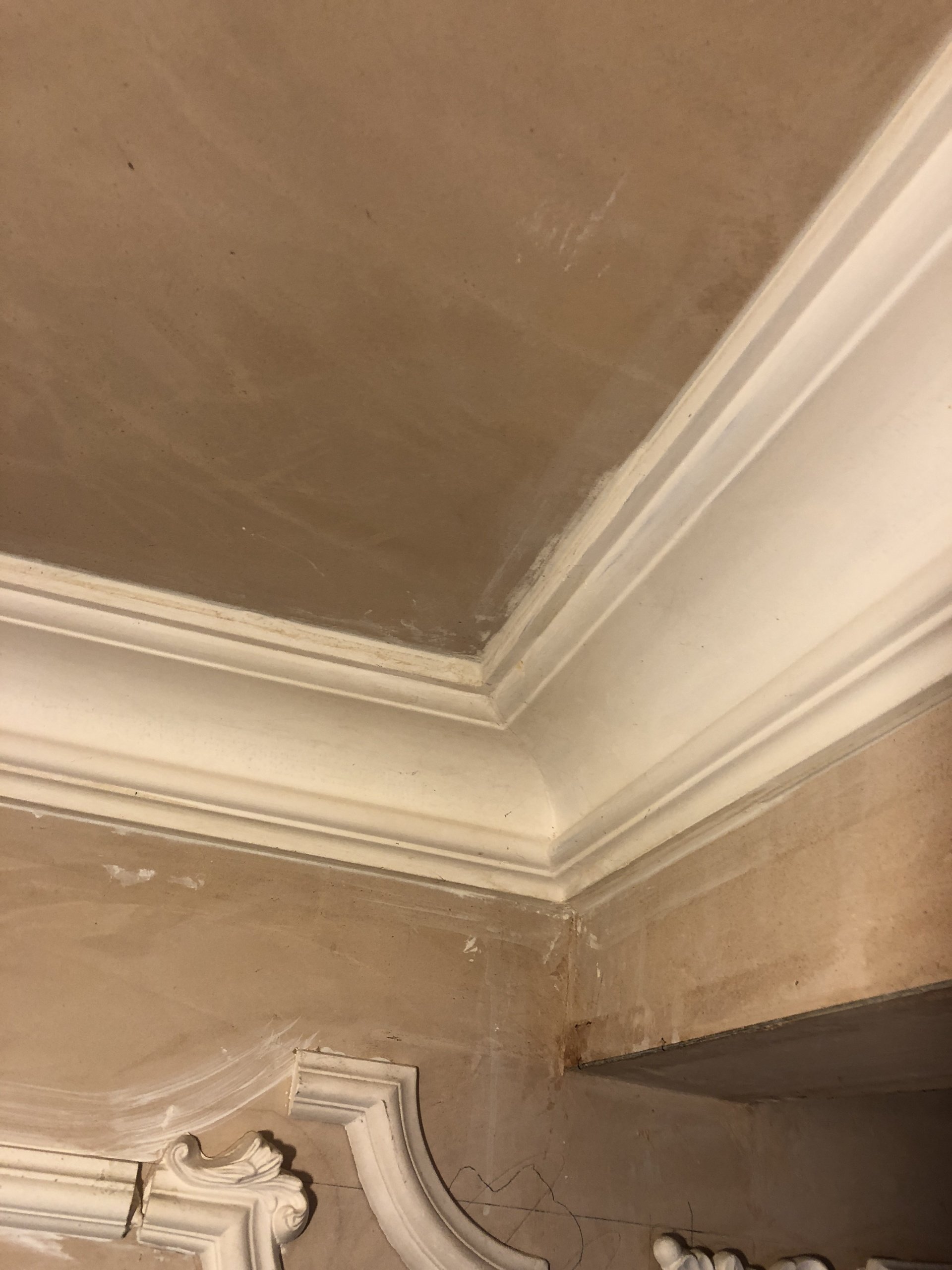 Plain coving professionals in Plymouth