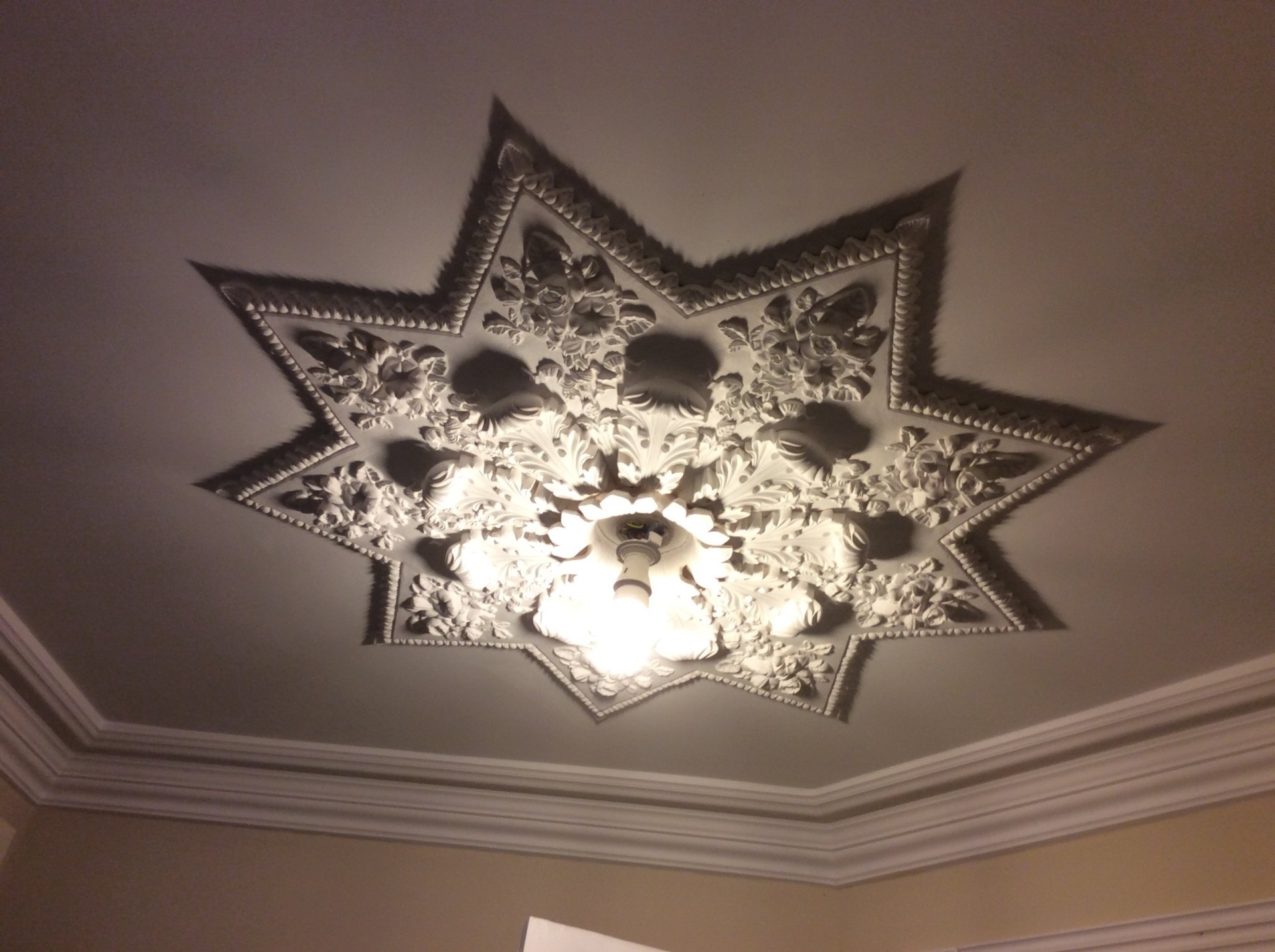 Intricately designed ceiling roses in Plymouth