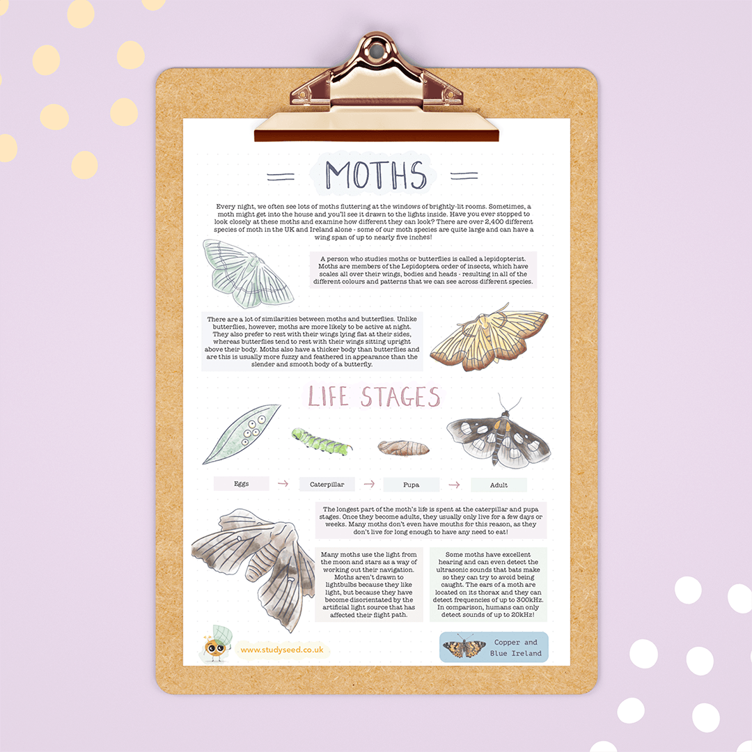 Research Project 5 - Moths and Moth Trapping