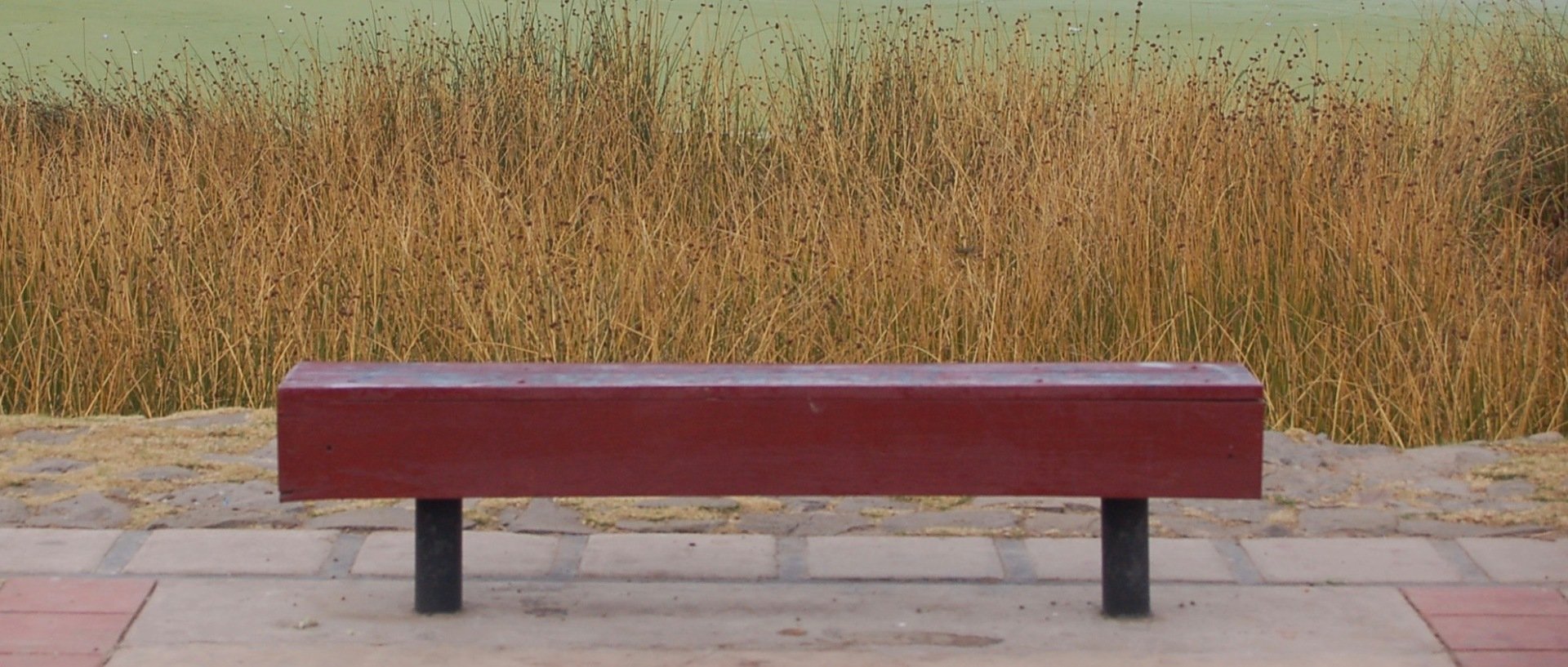 HOME [www.benchnotbench.com]