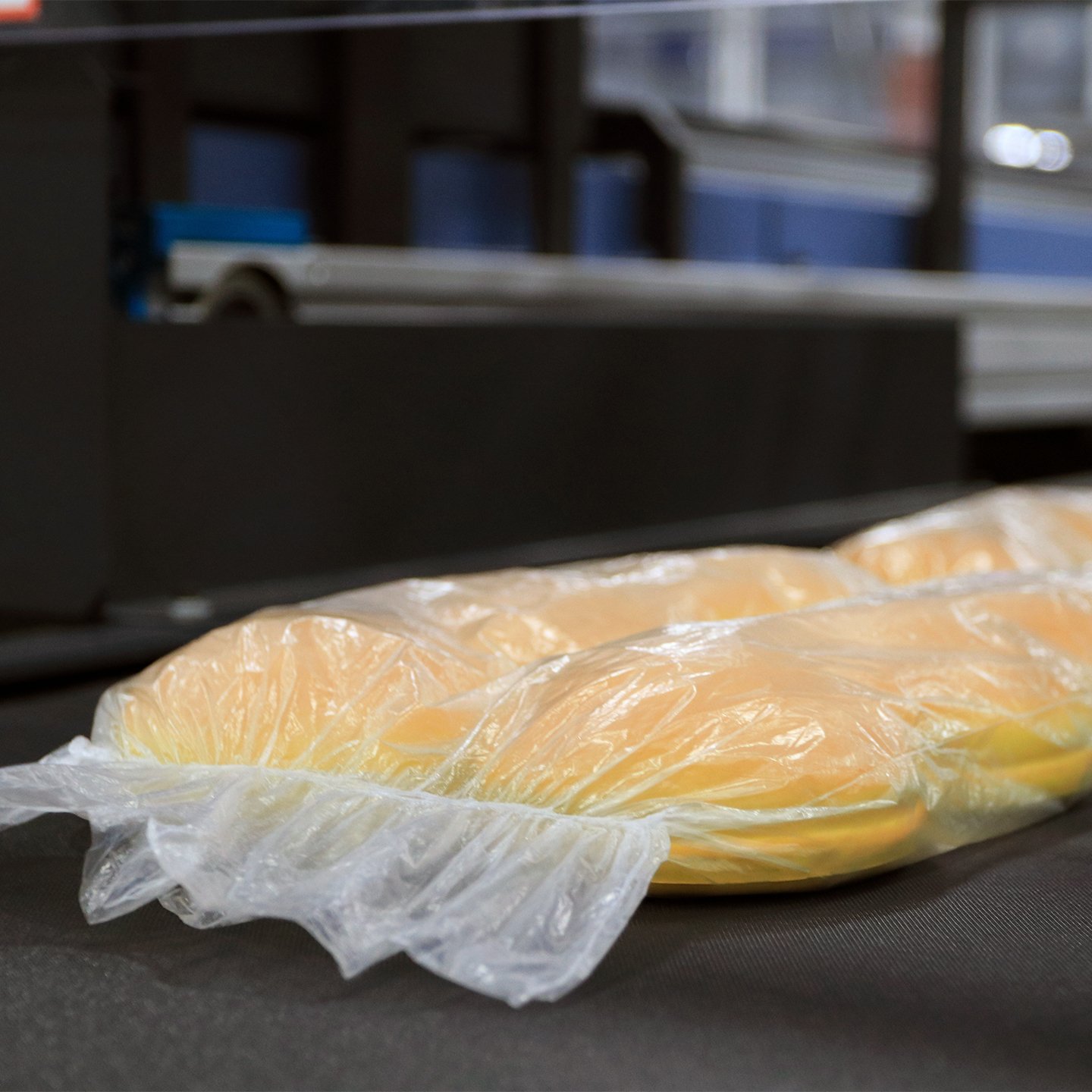 Flexible Packaging | William-Allen Company, LLC
