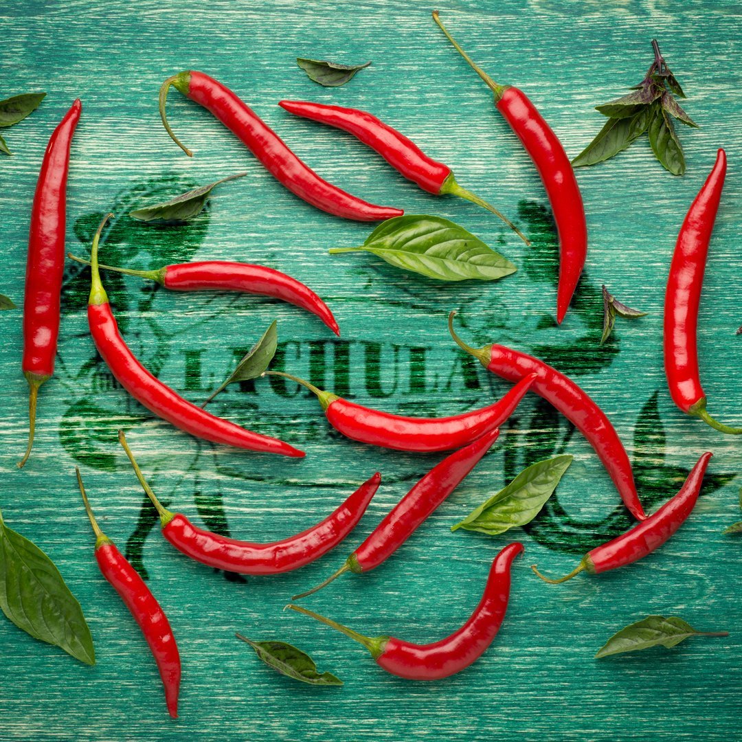 Home [www.lachulanyc.com]