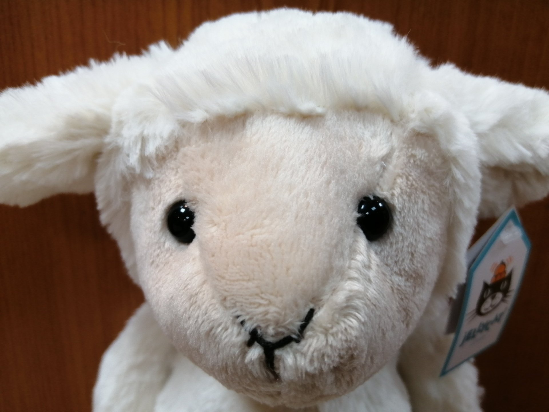 Sheep Shop, Haverfordwest