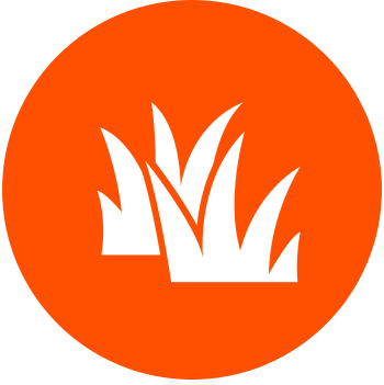 Certified Arborist Tree Service| Petersburg, IN |GE Tree Service