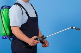 Control de plagas en Salta con Pucha Fumigaciones