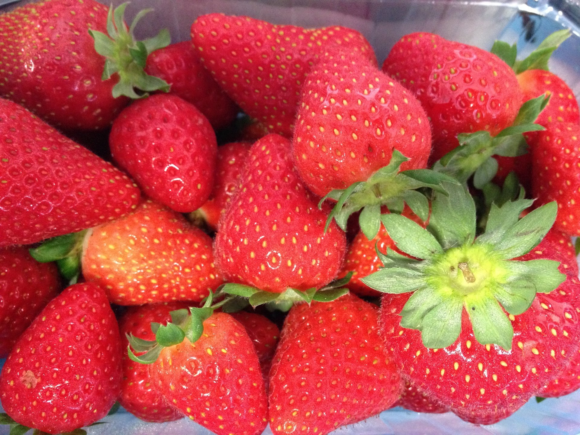 Aardbeien Valkenswaard | Gijsbers Tuinbouw