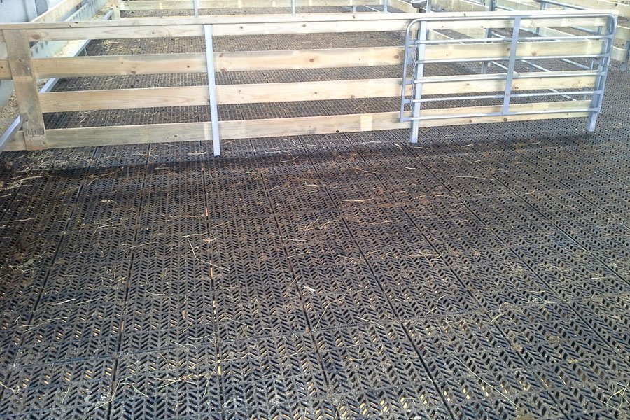 Gallery | Magnus Australia