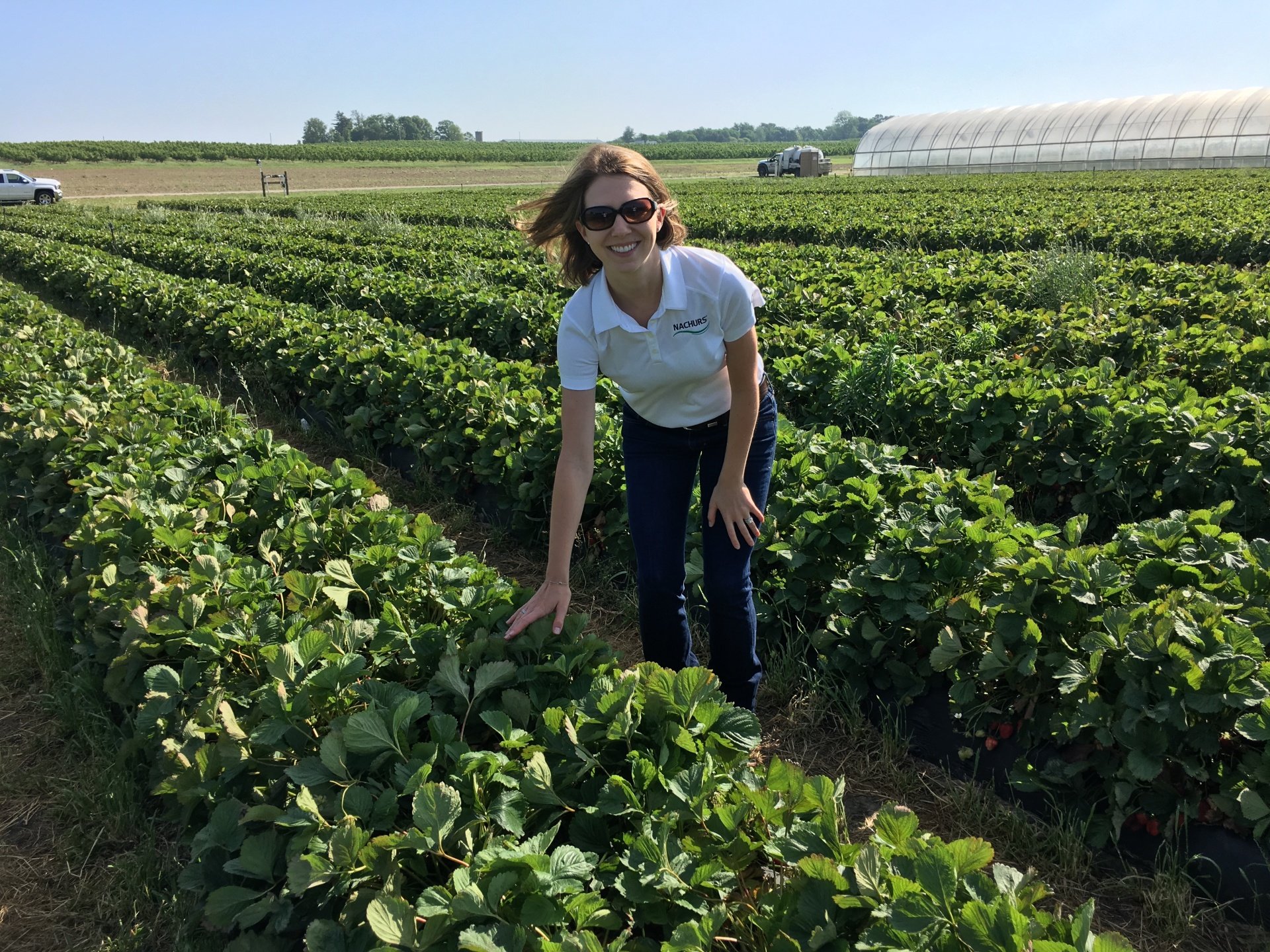 ALPINE Liquid Fertilizers - Maximizing Fertilizer Efficiency