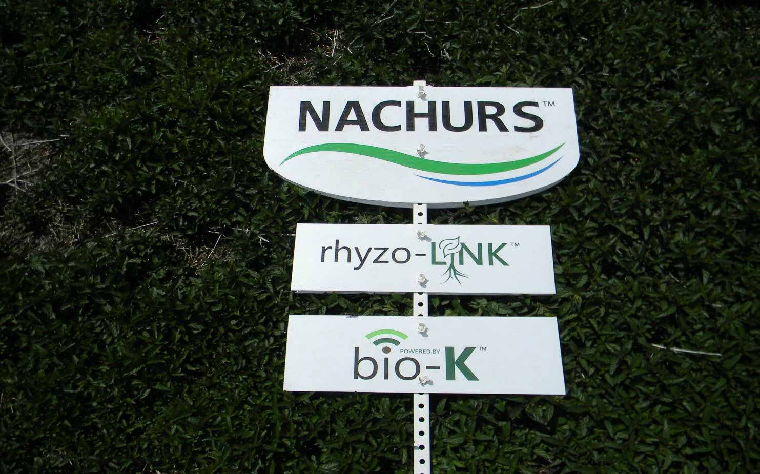 NACHURS Finish Line