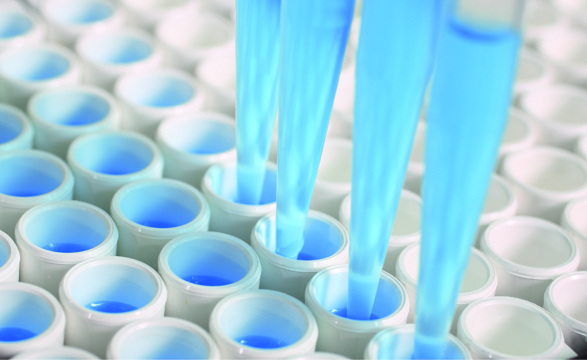 HISTO SPOT SSO System | MC Diagnostics | Automated Molecular ...