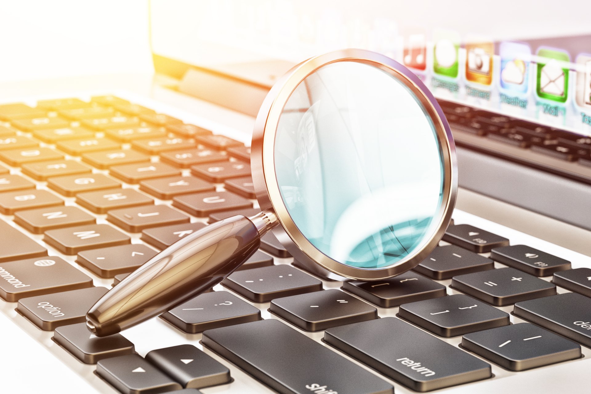 IST Management Services, Inc.