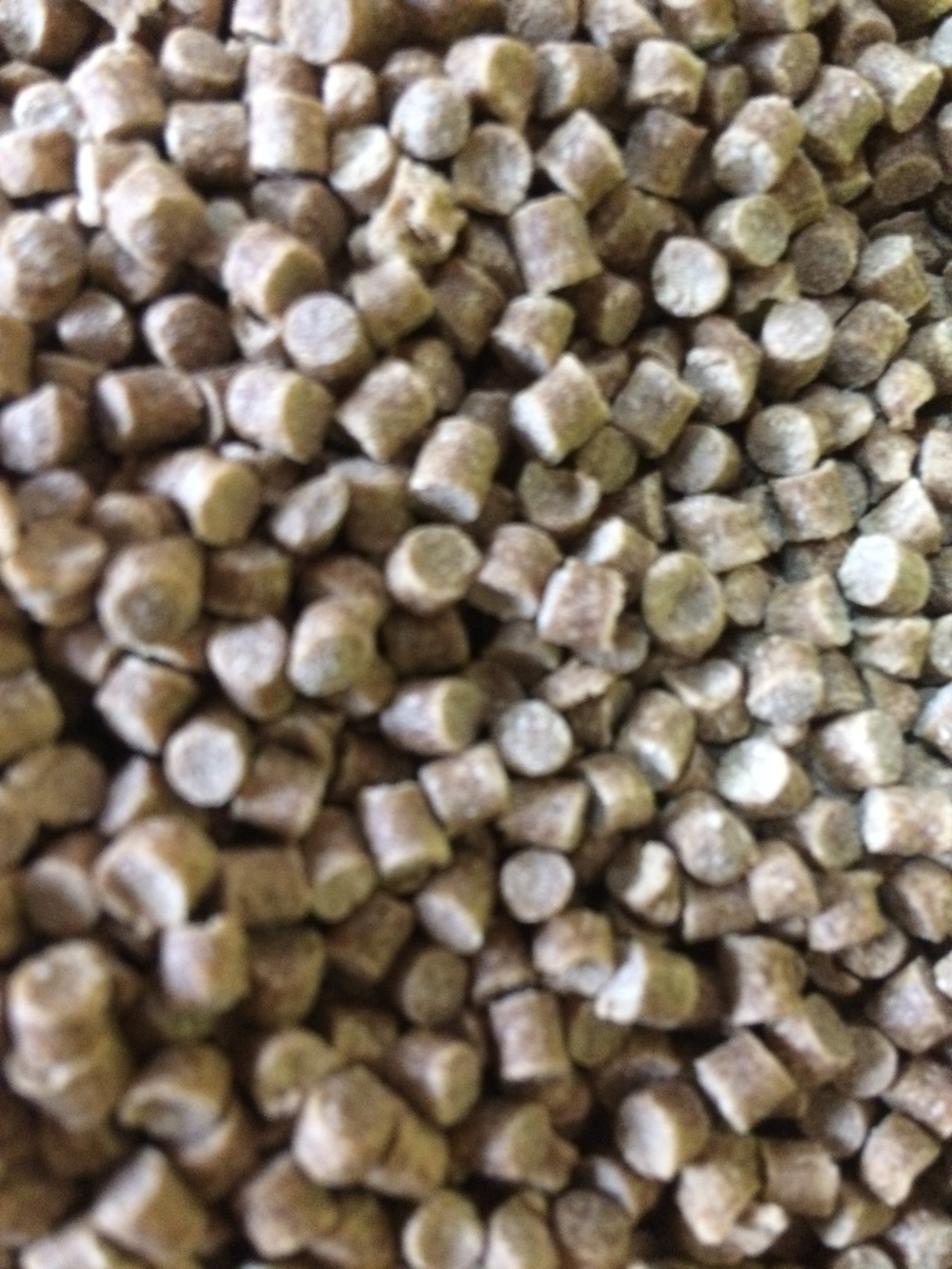 A great range of fish food feeds in Sheffield