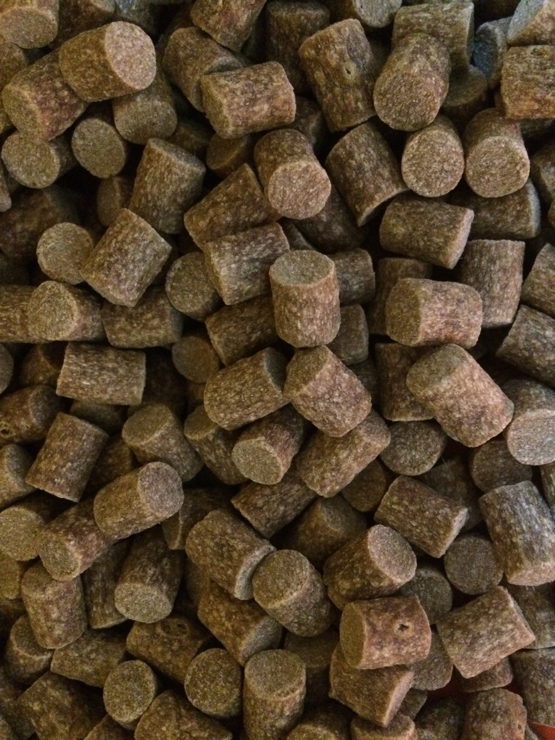 A great range of fish food feeds in Sheffield