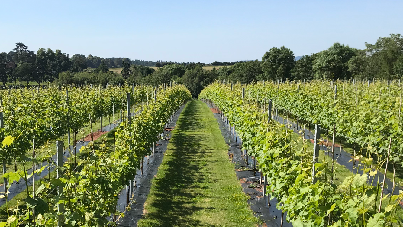 2025 UK record breaking harvest figures released