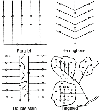 Lawn/field drainage | New Horizon Horticultural Services