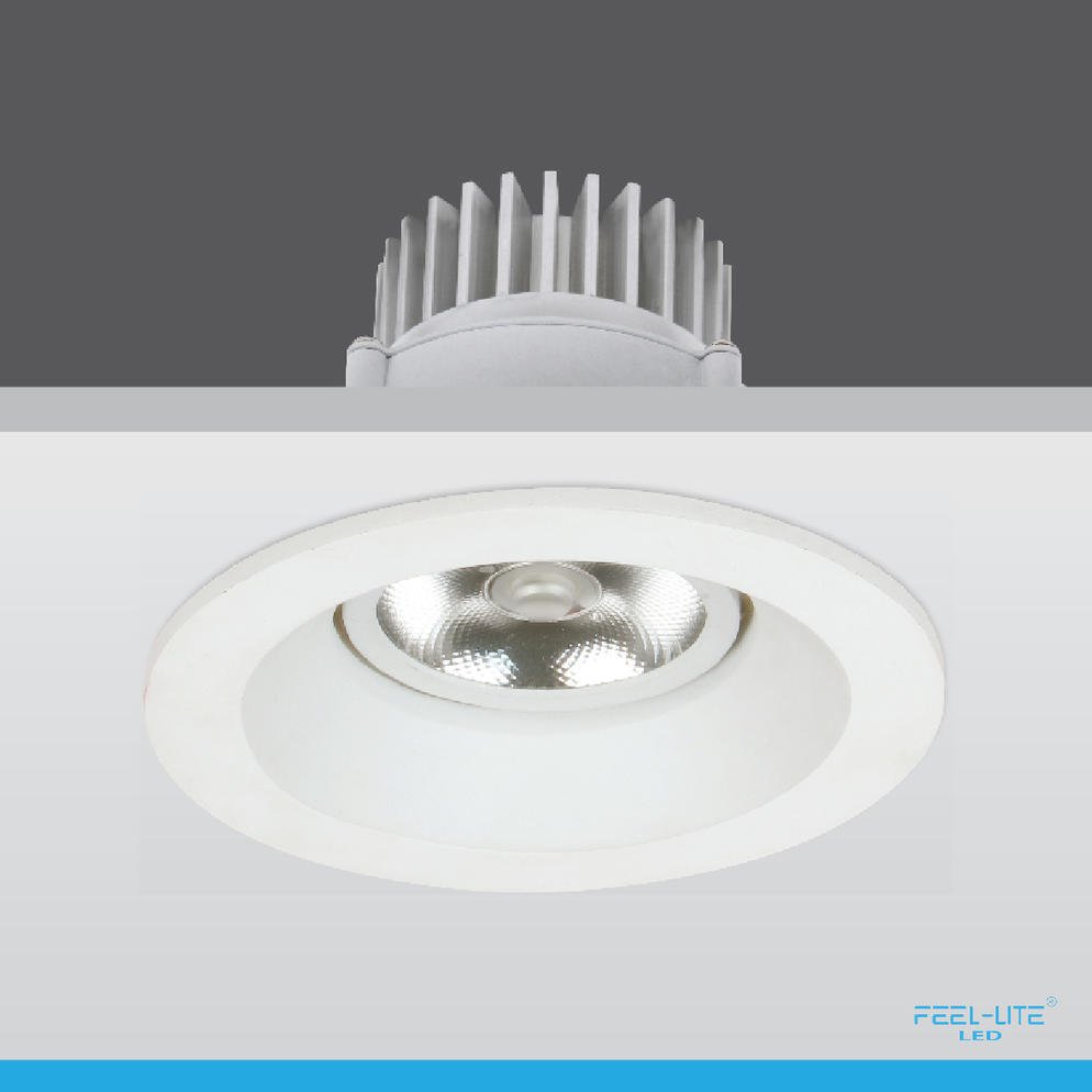 LED Down Light Supplier Malaysia - Feel-Lite LED