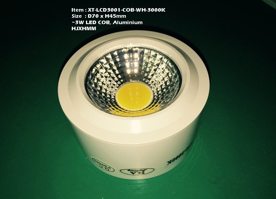 LED Surface Downlight Supplier Malaysia - Feel-Lite LED