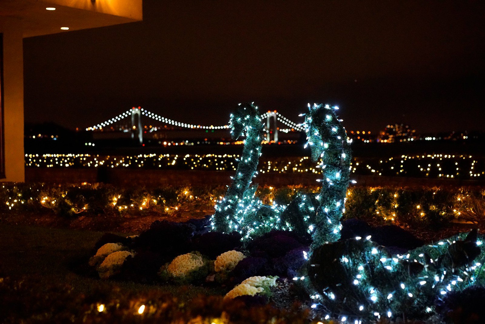 Marina Del Rey Photos | Gorgeous NYC Waterfront Events