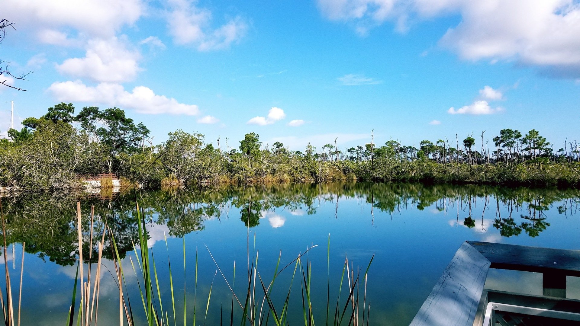 Up The Keys Nature Tour Up The Keys Tours-Key West, FL