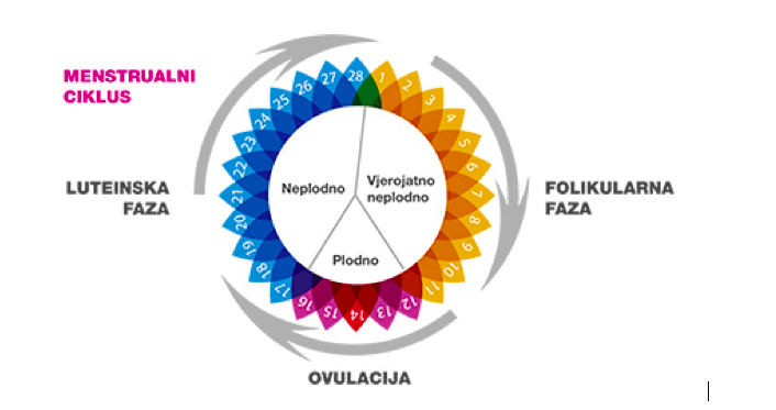 MENSTRUALNI CIKLUS I MENSTRUACIJA